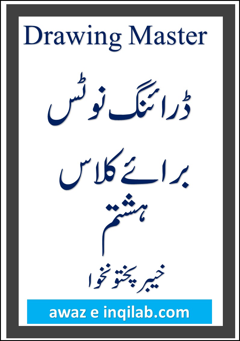 Drawing Guide for 8th Class Urdu Medium by Umer Saddam - awaz e inqilab